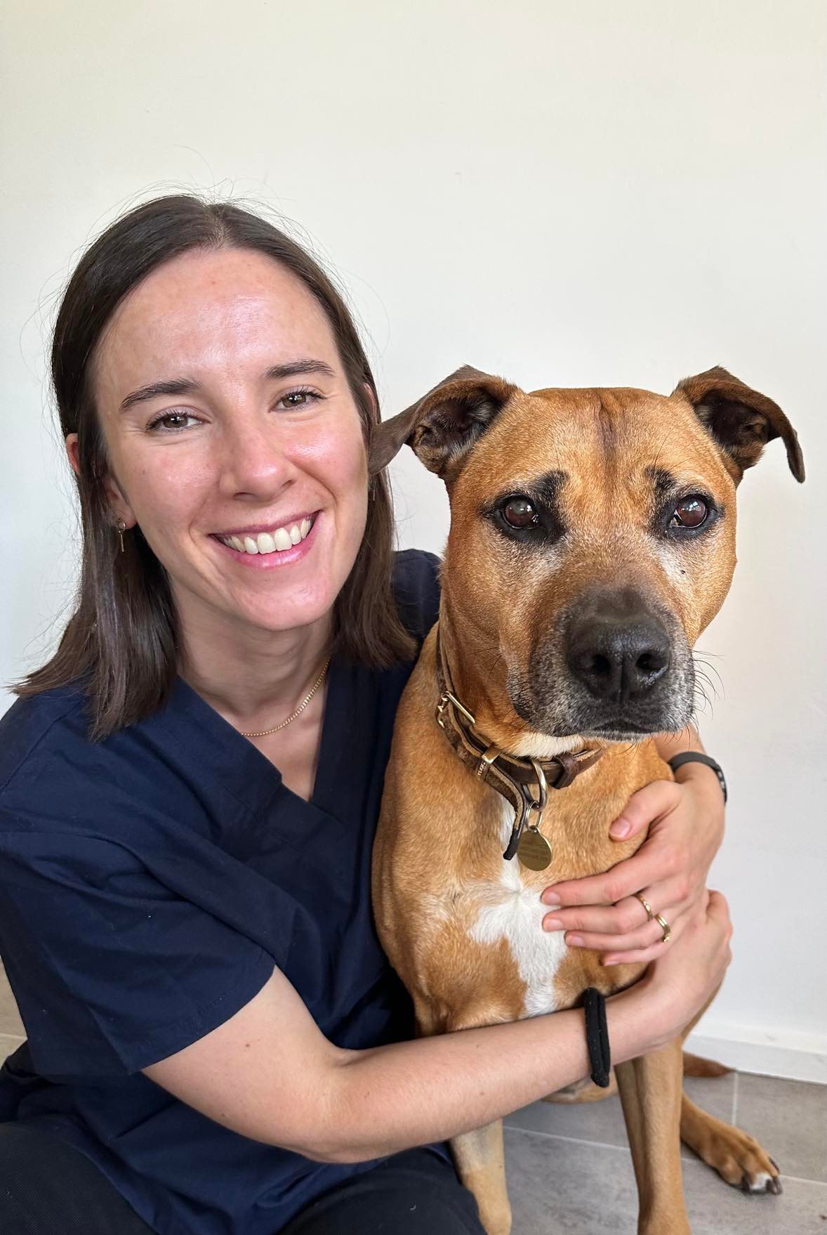 Melbourne Mobile Vet | Dr Rose Sunset Vet