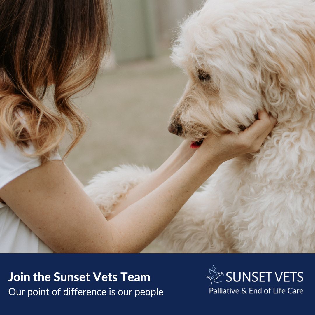 Join the Sunset Vets Team | Sunset Vets Career for Veterinarians