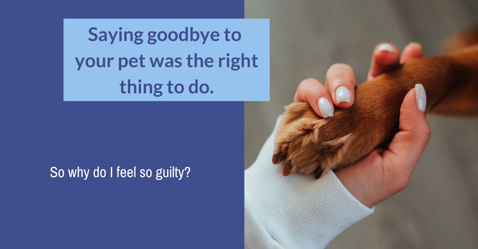 Pet Loss Guilt | Saying goodbye was right, so why do I feel guilty?