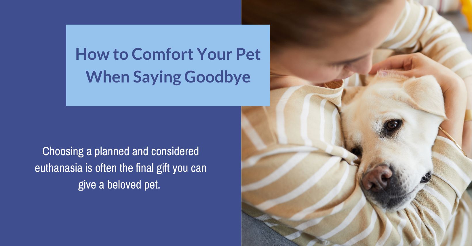 How to Comfort Your Pet When Saying Goodbye | Sunset Vets Palliative ...